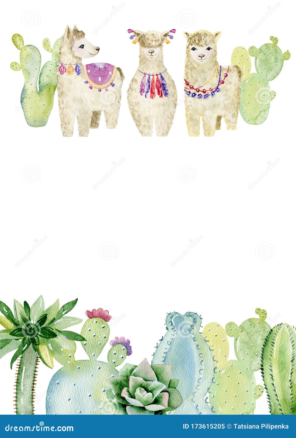 Frame with llama stock illustration. Illustration of llama - 173615205