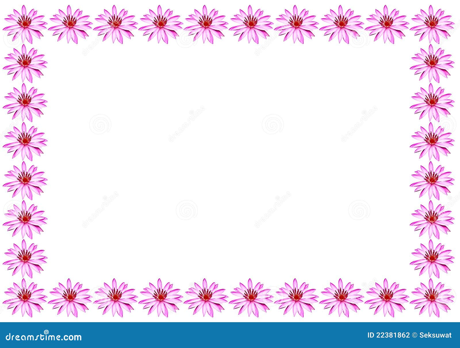 Frame-lotus stock illustration. Illustration of arts - 22381862