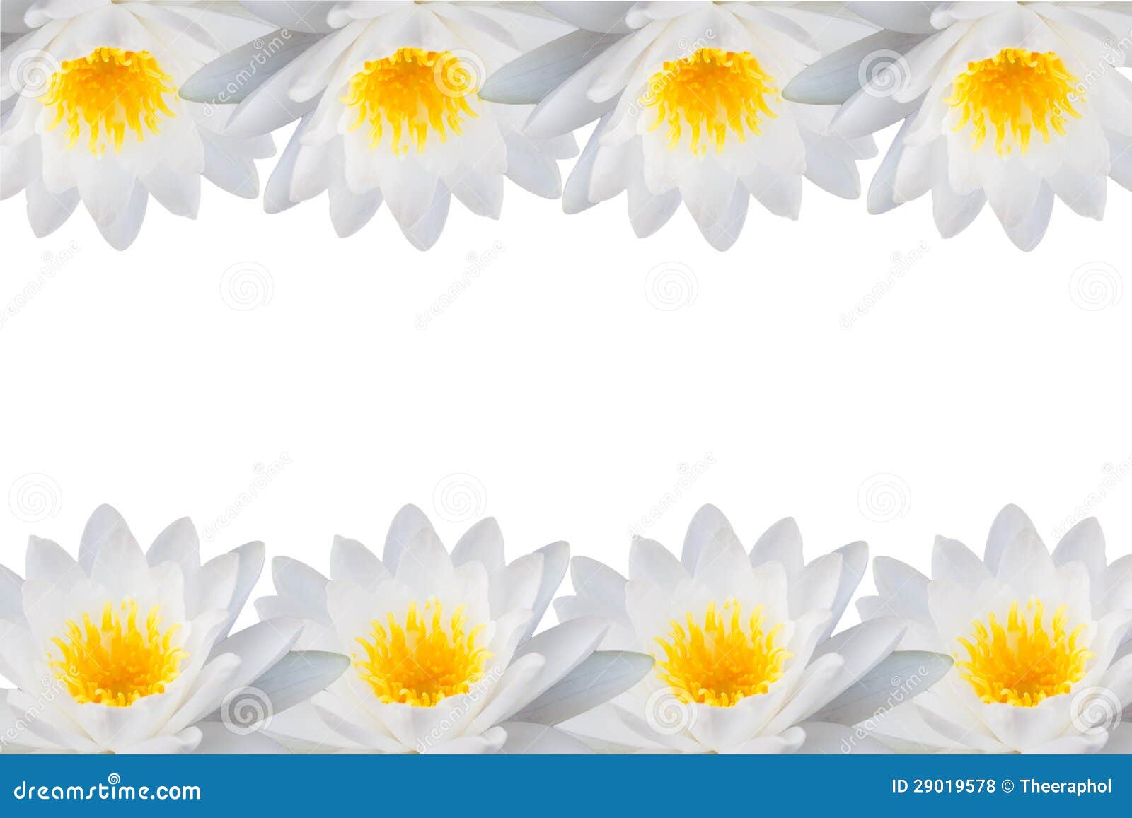 The Frame of the Lotus Flowers Stock Illustration - Illustration of ...