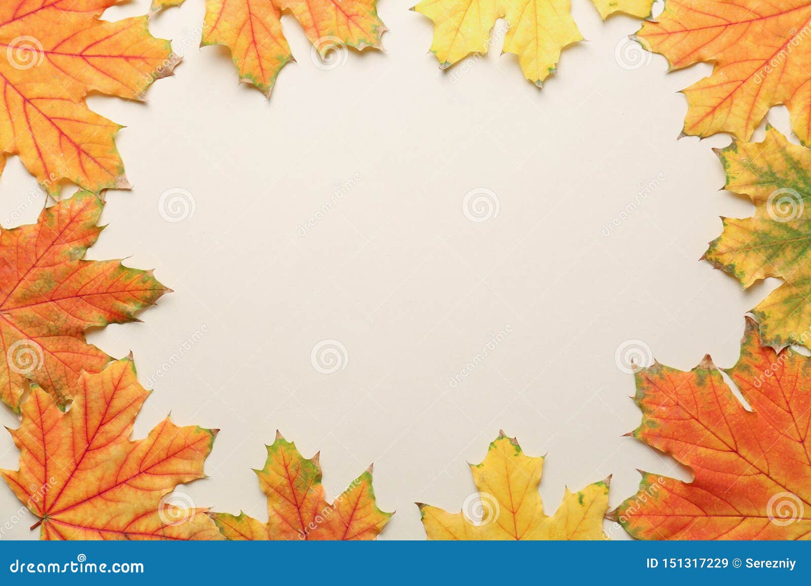 Frame Made of Autumn Leaves on Color Background Stock Image - Image of ...