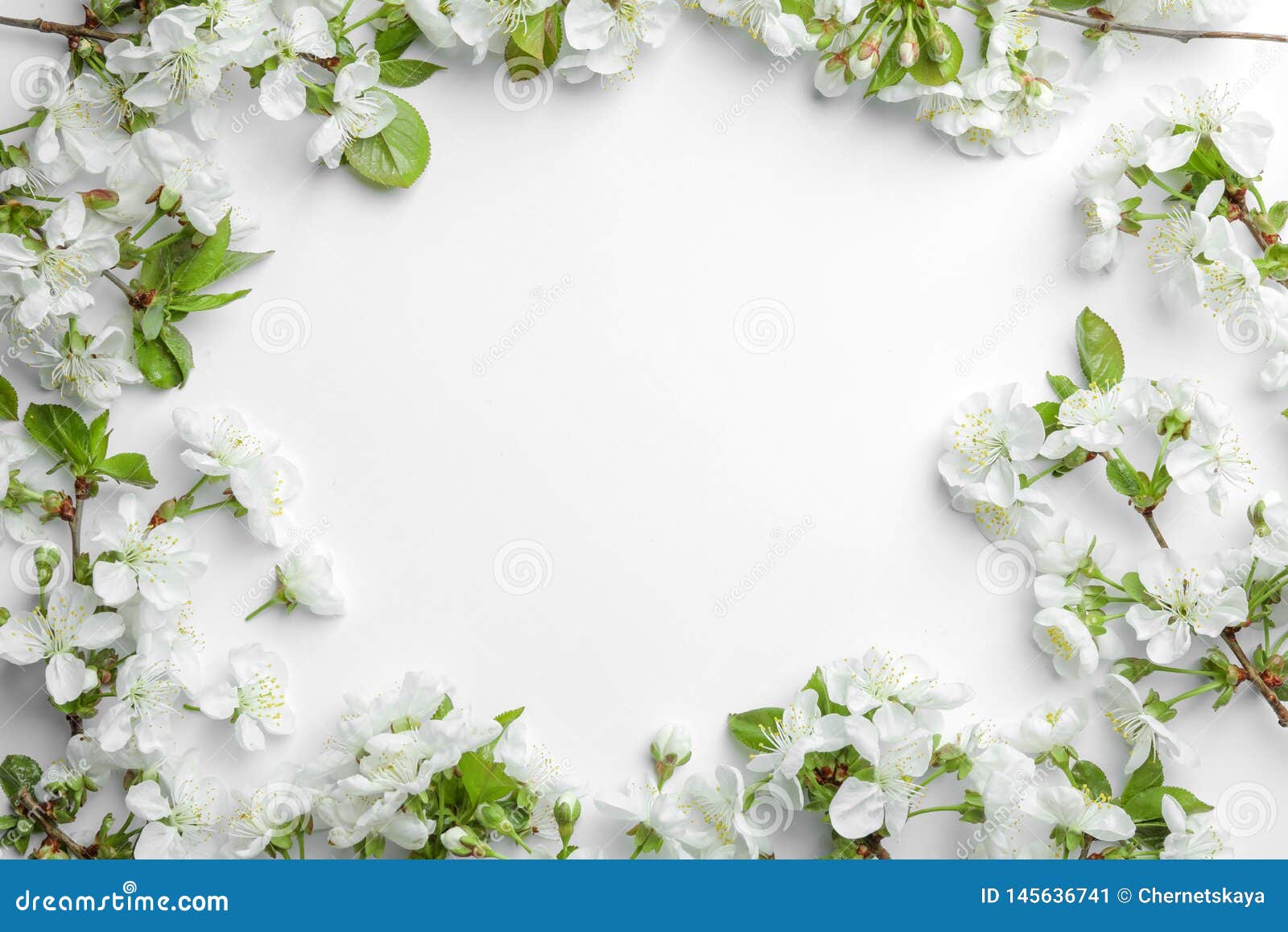 Frame Made of Beautiful Fresh Spring Flowers on White Background, Top ...