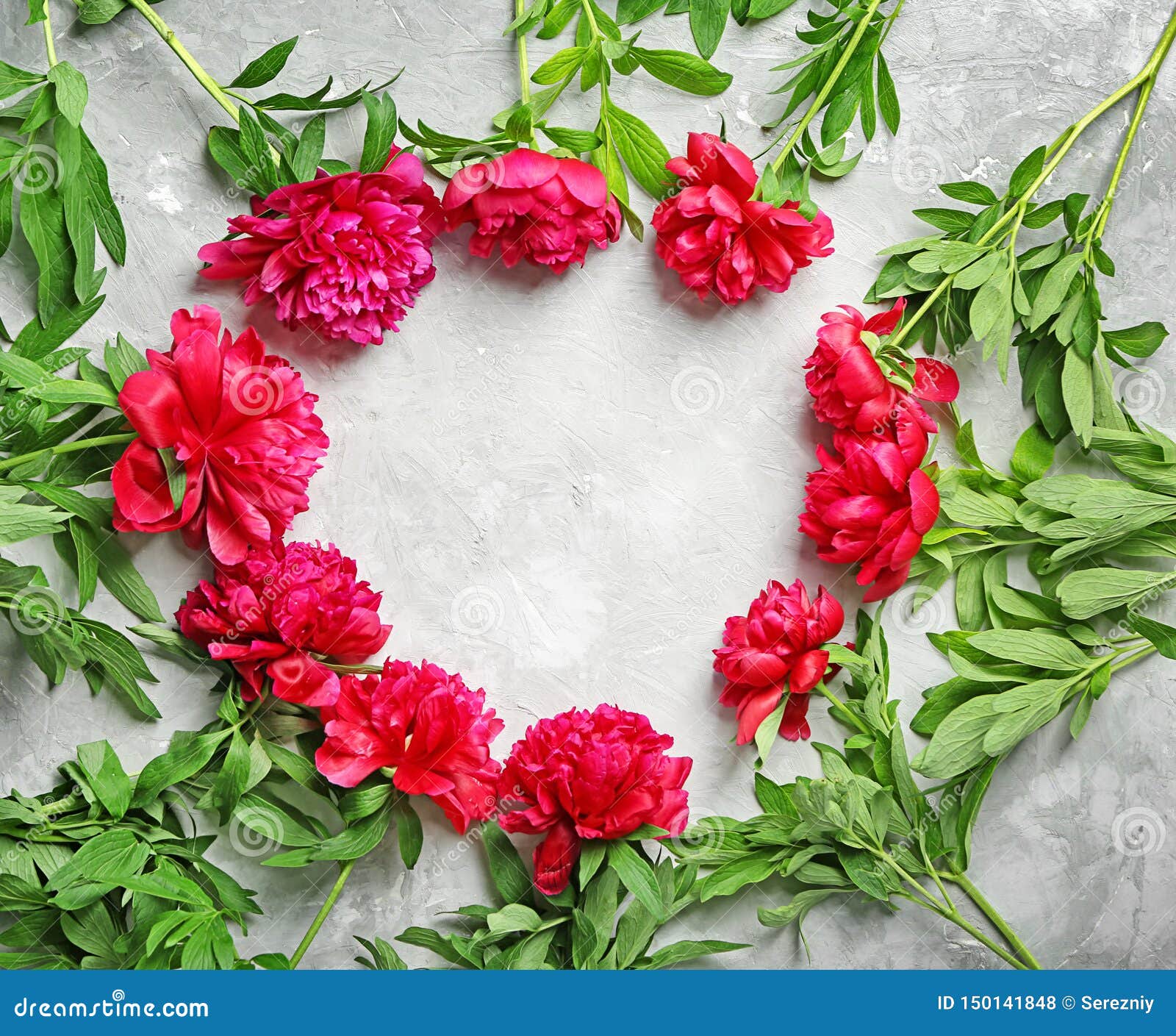 Frame Made of Beautiful Peony Flowers on Grey Background Stock Photo ...