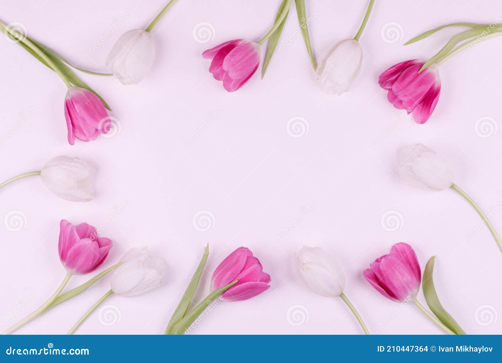 Frame Made of Colourful Tulips Stock Photo - Image of anniversary ...