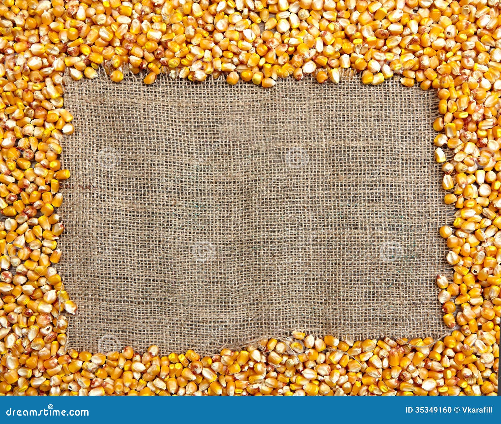 Frame made of corn seeds stock photo. Image of cobs, plant - 35349160