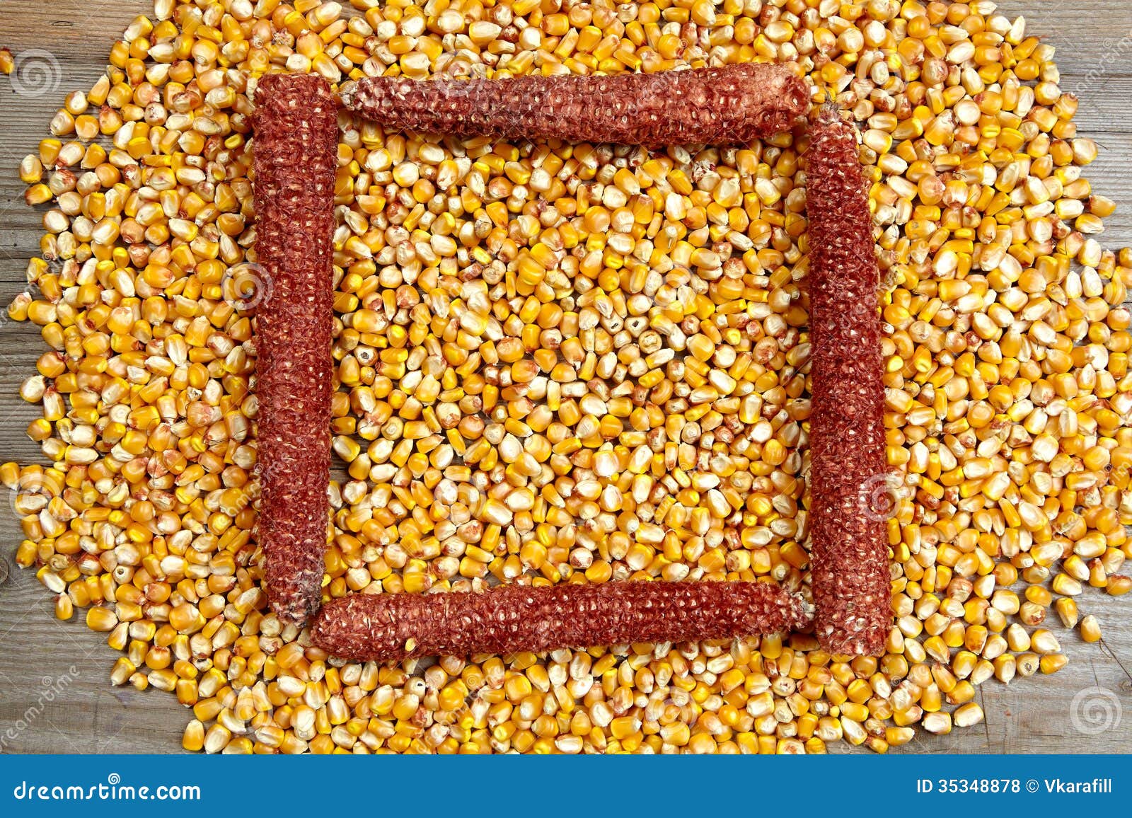 Frame made of corn seeds stock photo. Image of corn, background - 35348878