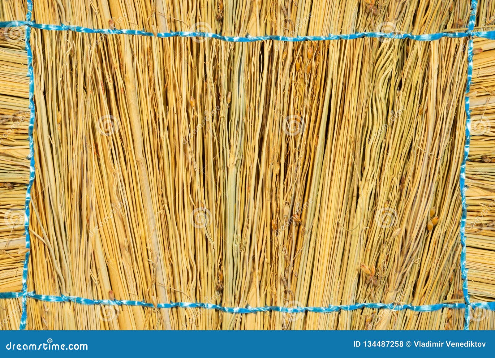 Frame Made of Dry Straw Pattern Stock Photo - Image of livestock ...