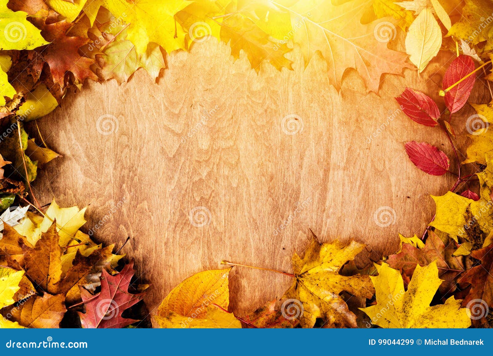 Frame Made of Fall Leaves on Wood. Autumn Background Stock Image ... Frame Made of Fall Leaves on Wood. Autumn Background Stock Image ...