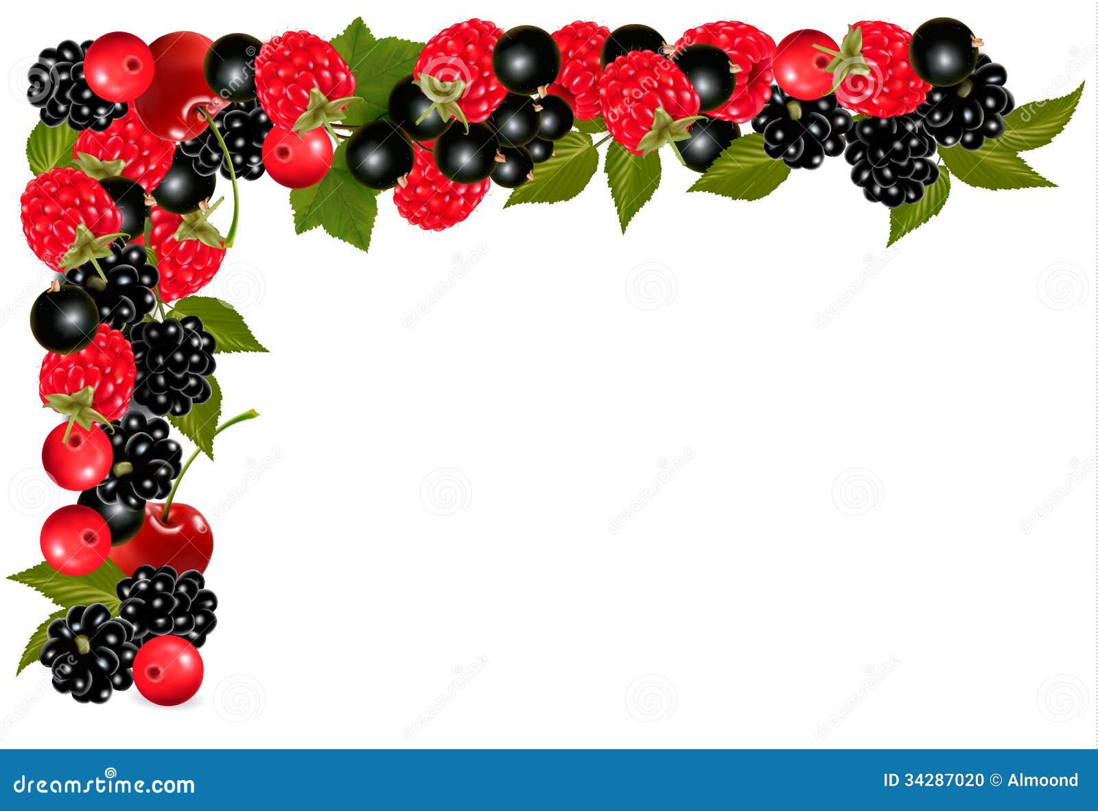 Frame Made of Fresh Juicy Berries. Stock Vector - Illustration of ...