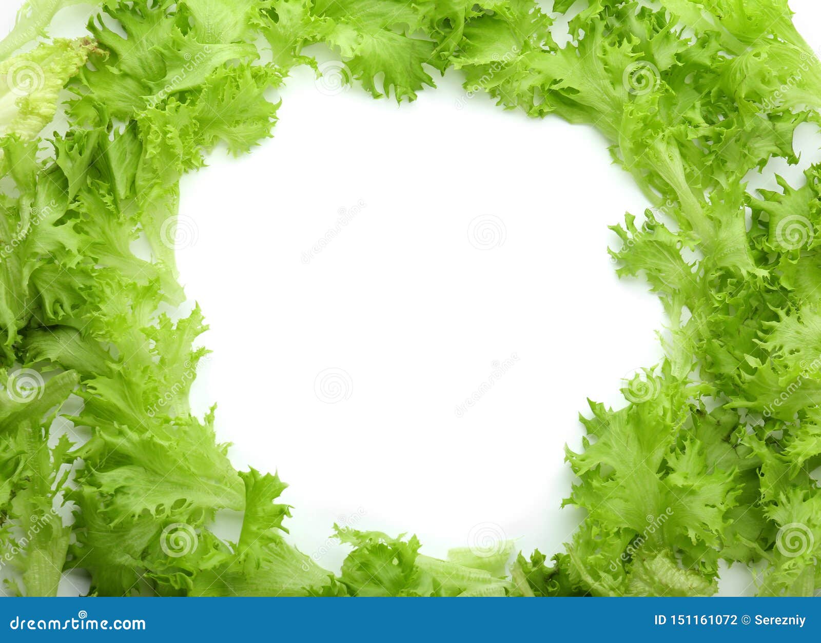 Frame Made of Fresh Lettuce Leaves on White Background Stock Photo ...