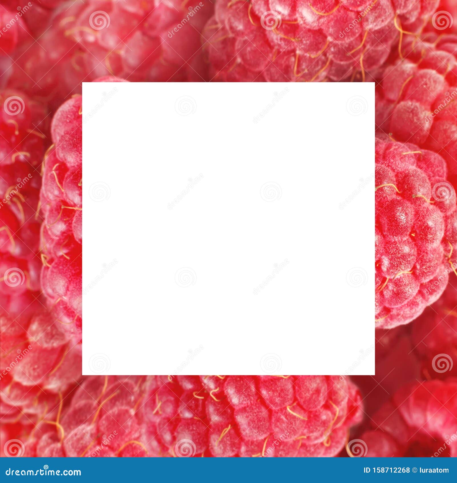 Frame Made from Fresh Raspberries, Overhead View, Flatlay Stock Photo ...