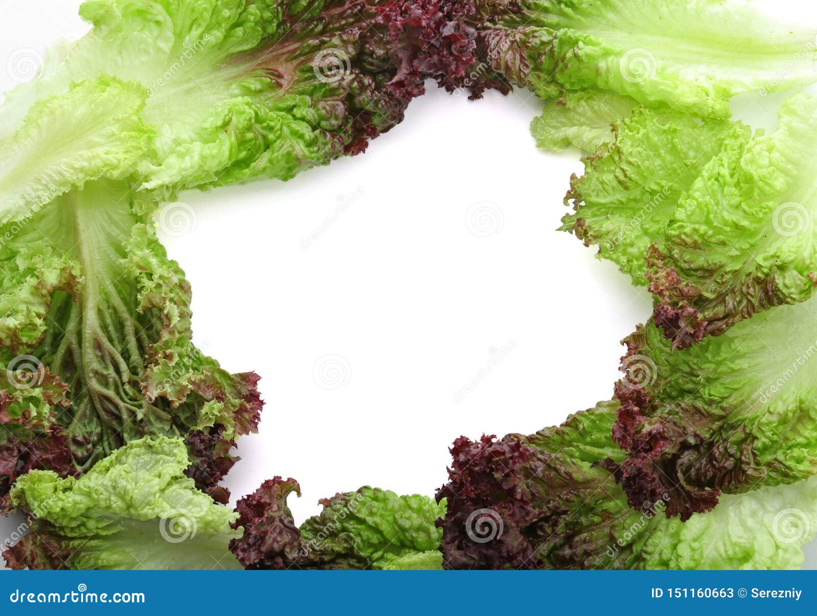 Frame Made of Fresh Salad Leaves on White Background Stock Image ...