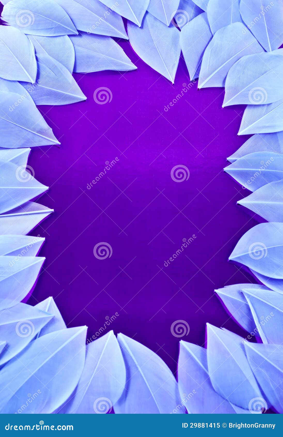 Feather frame stock image. Image of color, gentle, blue - 29881415