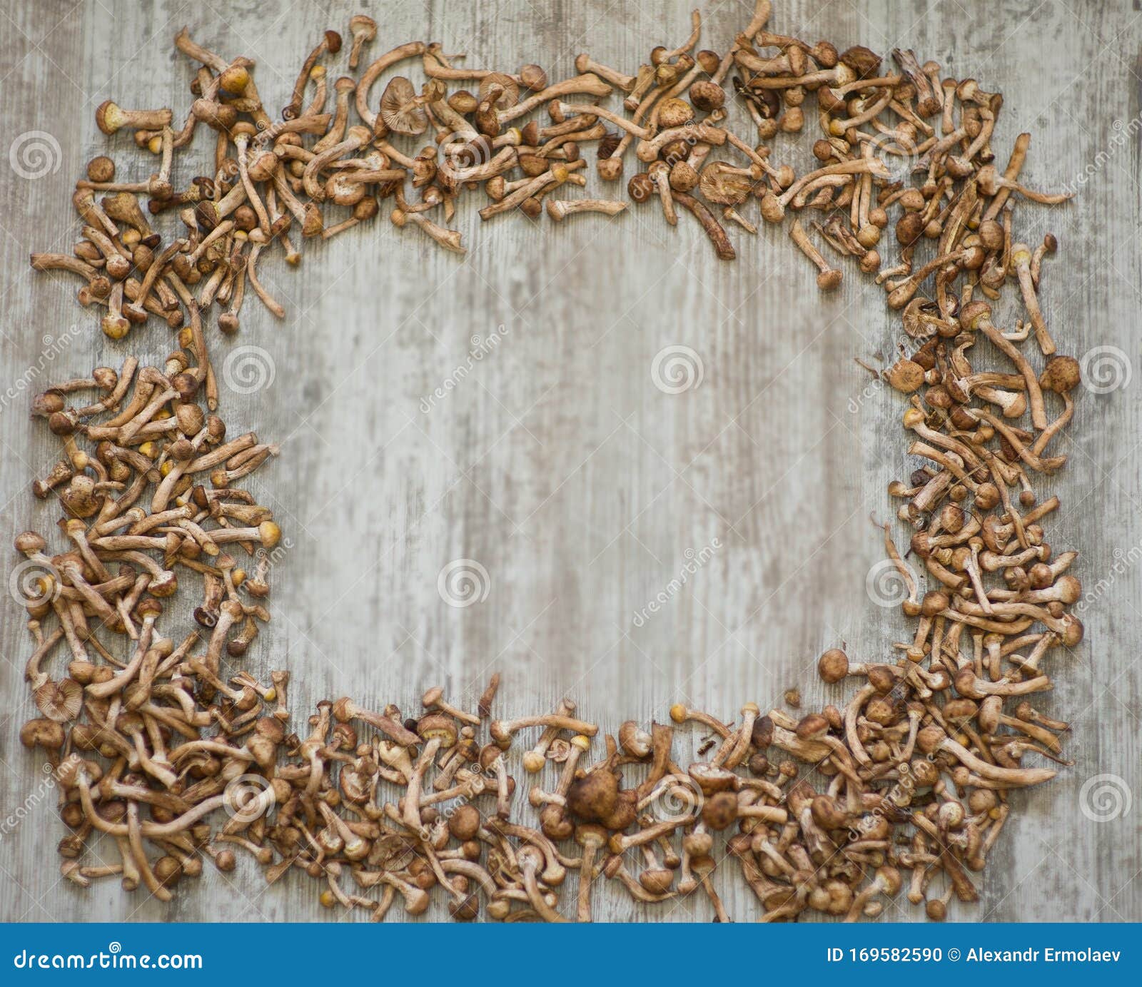Frame Made of Mushrooms. Space for Text Stock Photo - Image of close ...