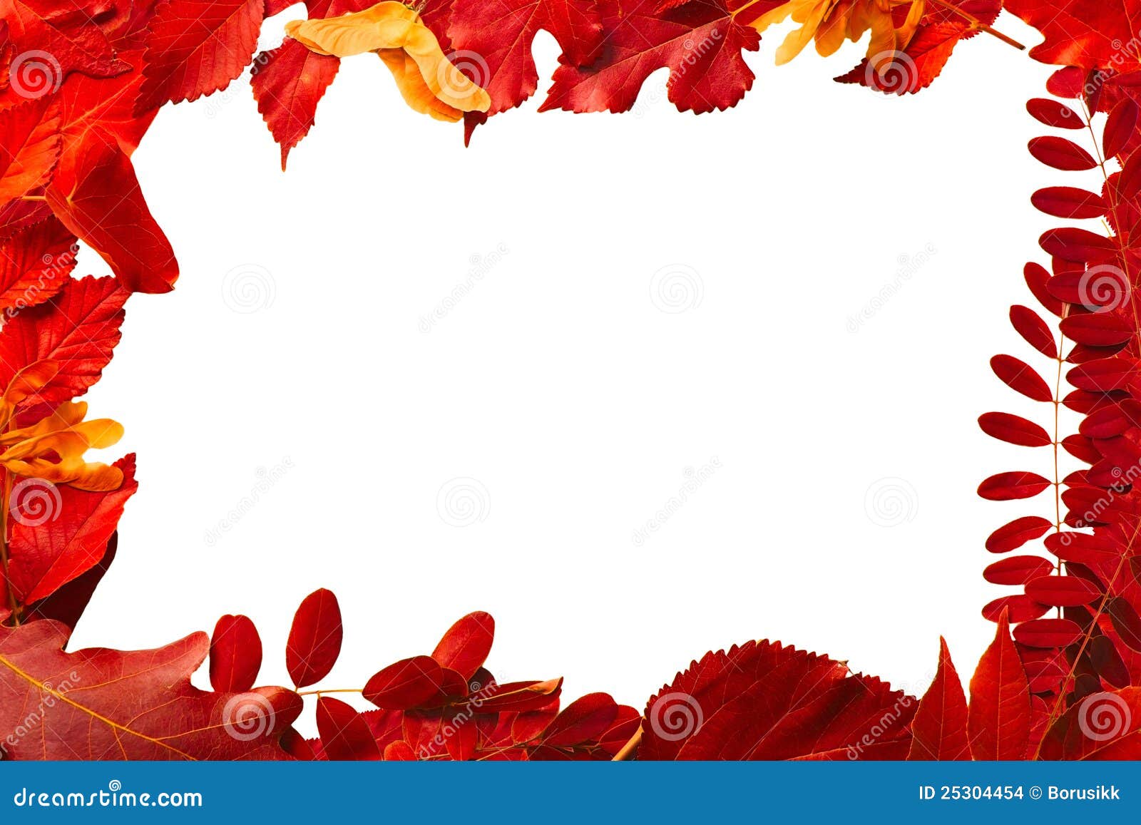 Frame is Made of Natural Autumn Red Leaves Stock Photo - Image of fresh ...