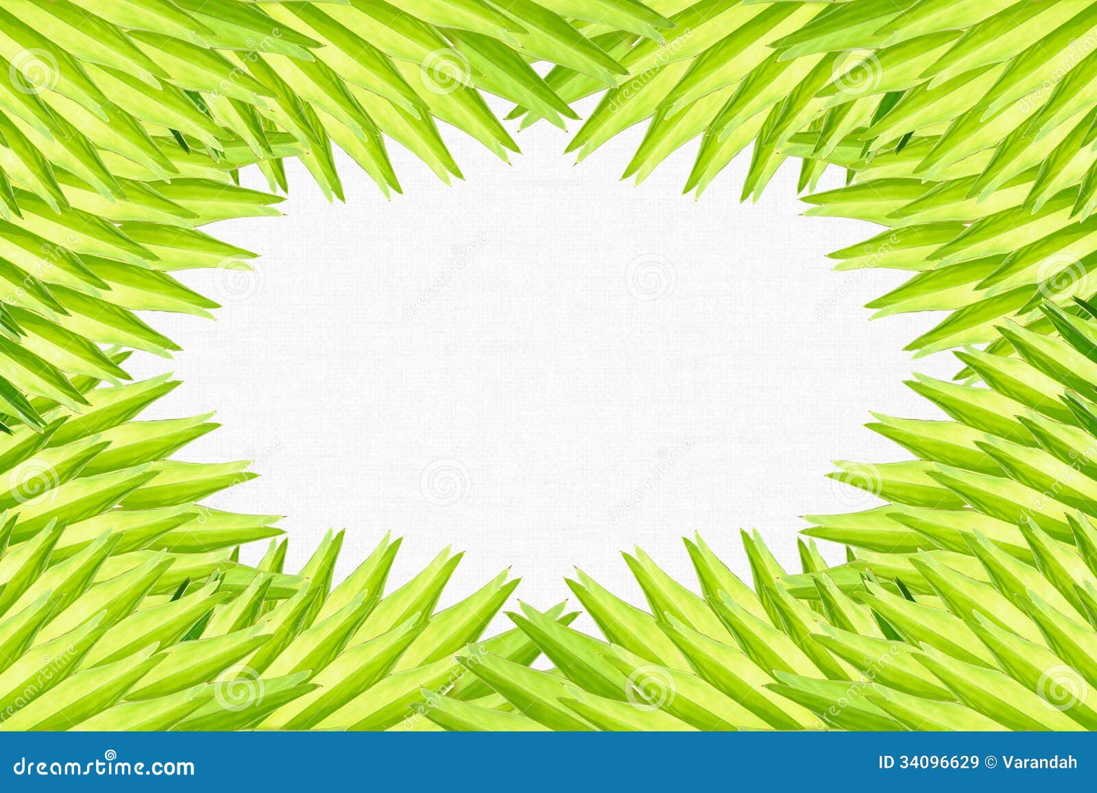 Frame made of palm leaves stock image. Image of design - 34096629