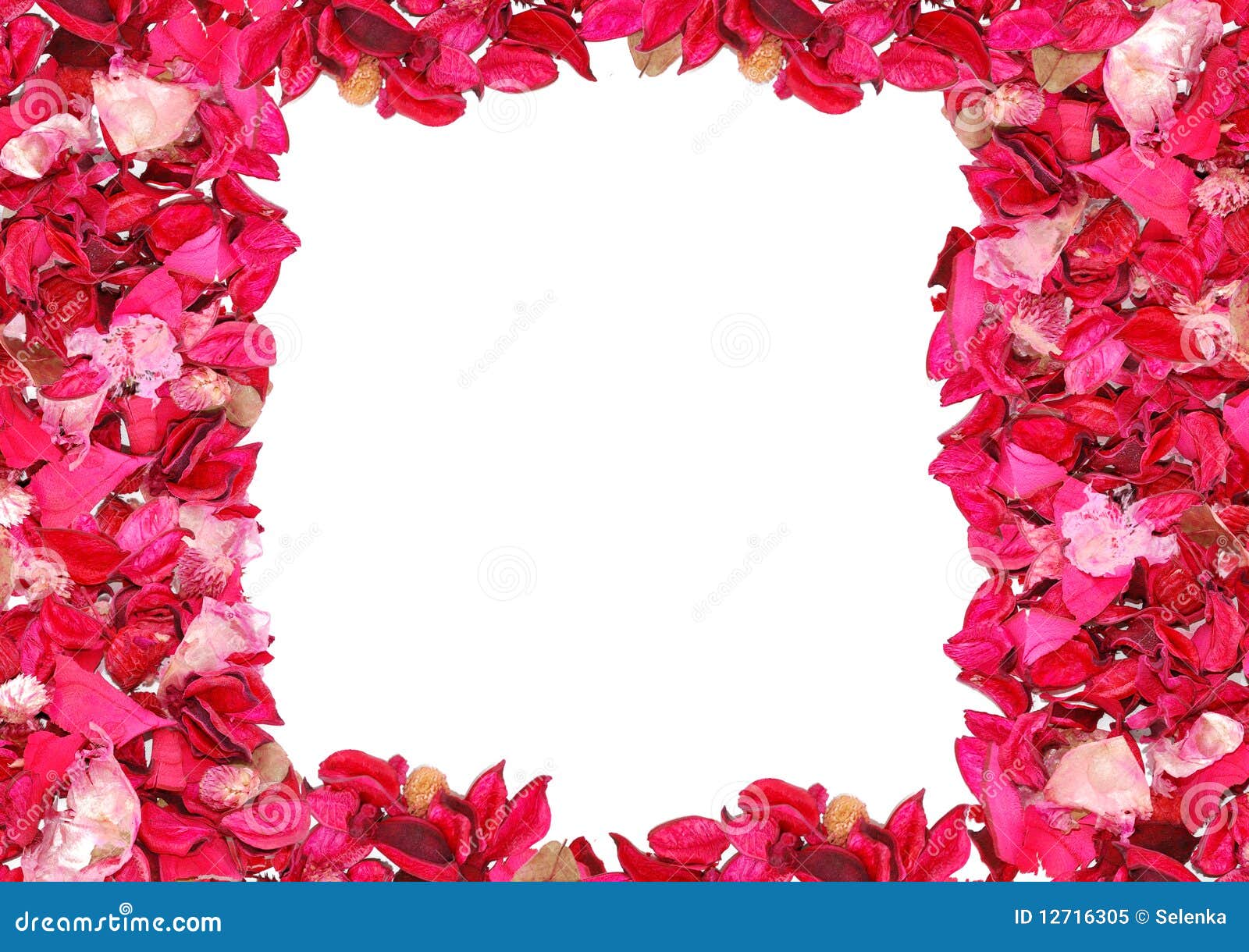 Frame made of petals stock image. Image of floral, frame - 12716305