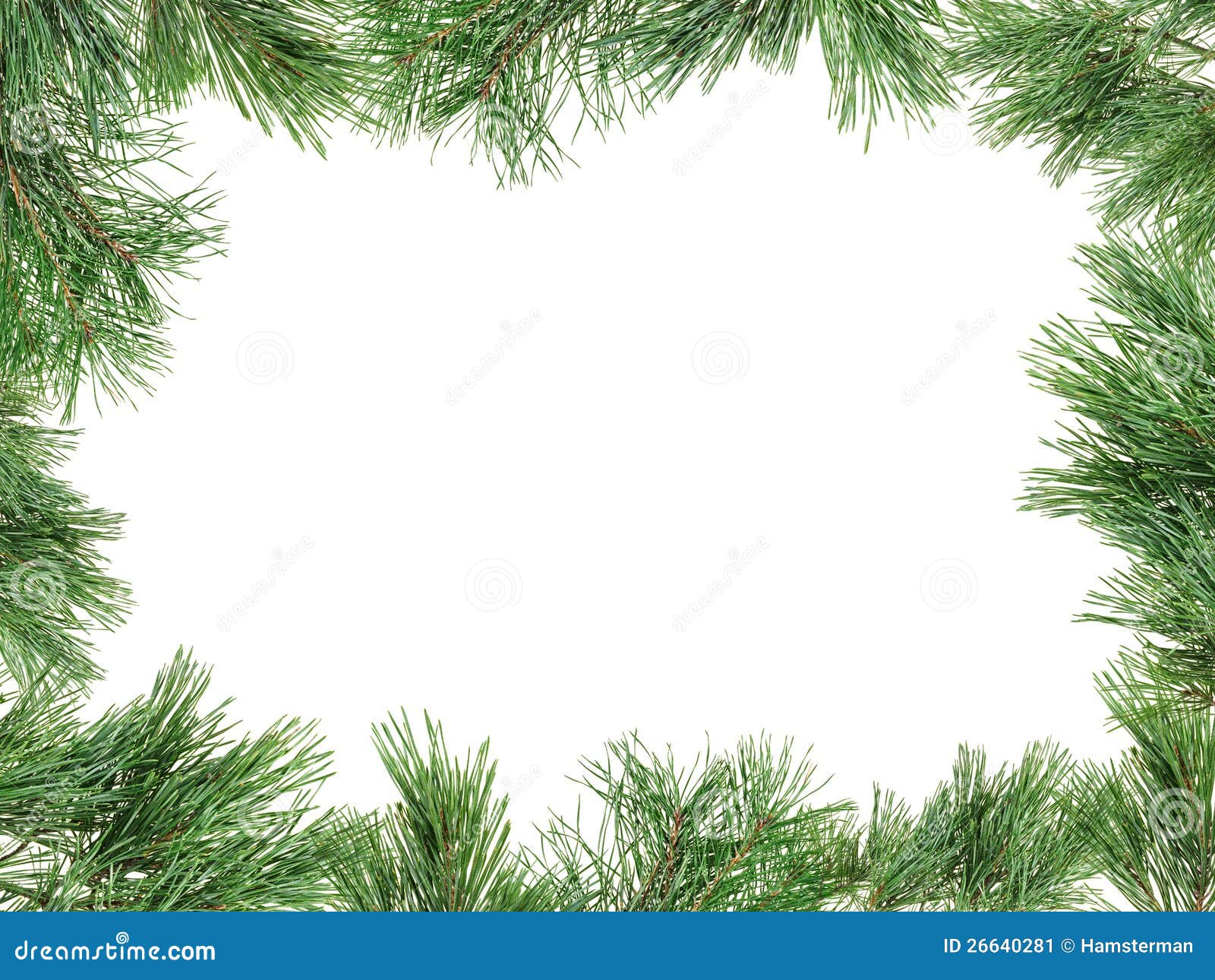 Frame Made with Pine Twigs on White Stock Image - Image of natural ...