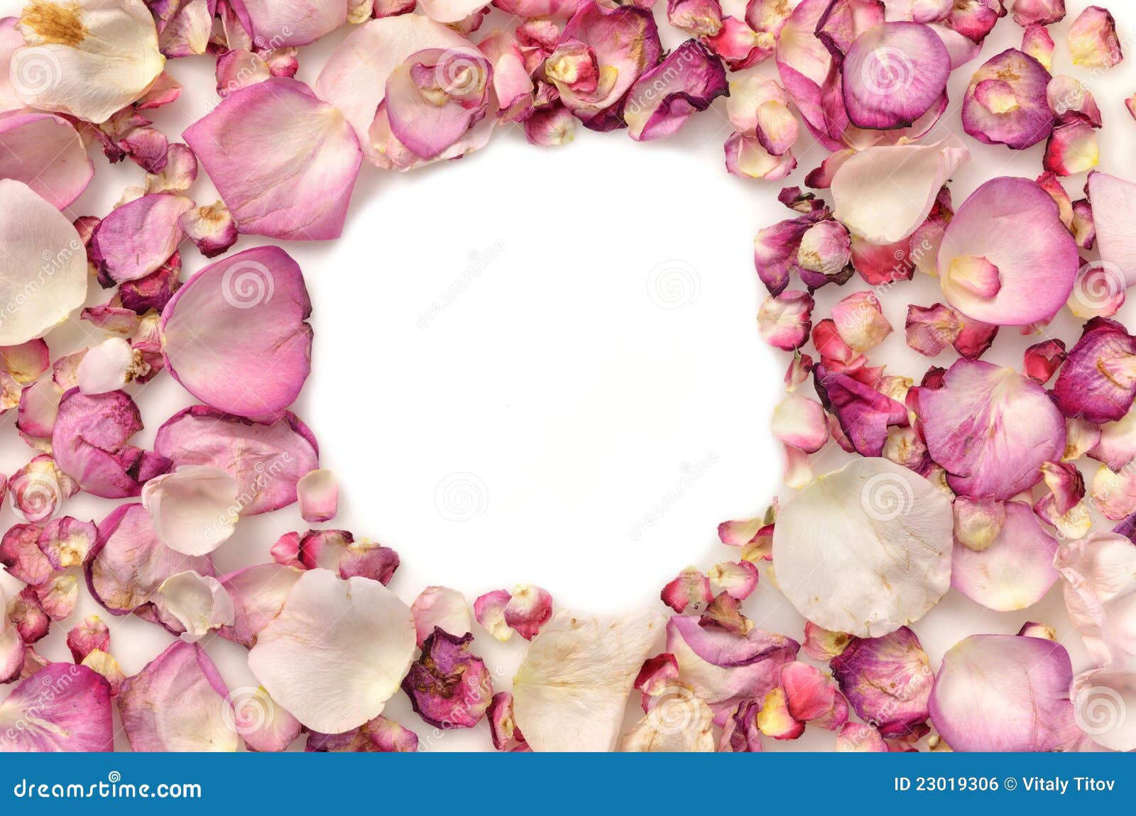 Frame Made of Pink Rose Petals Stock Photo - Image of idea, anniversary ...