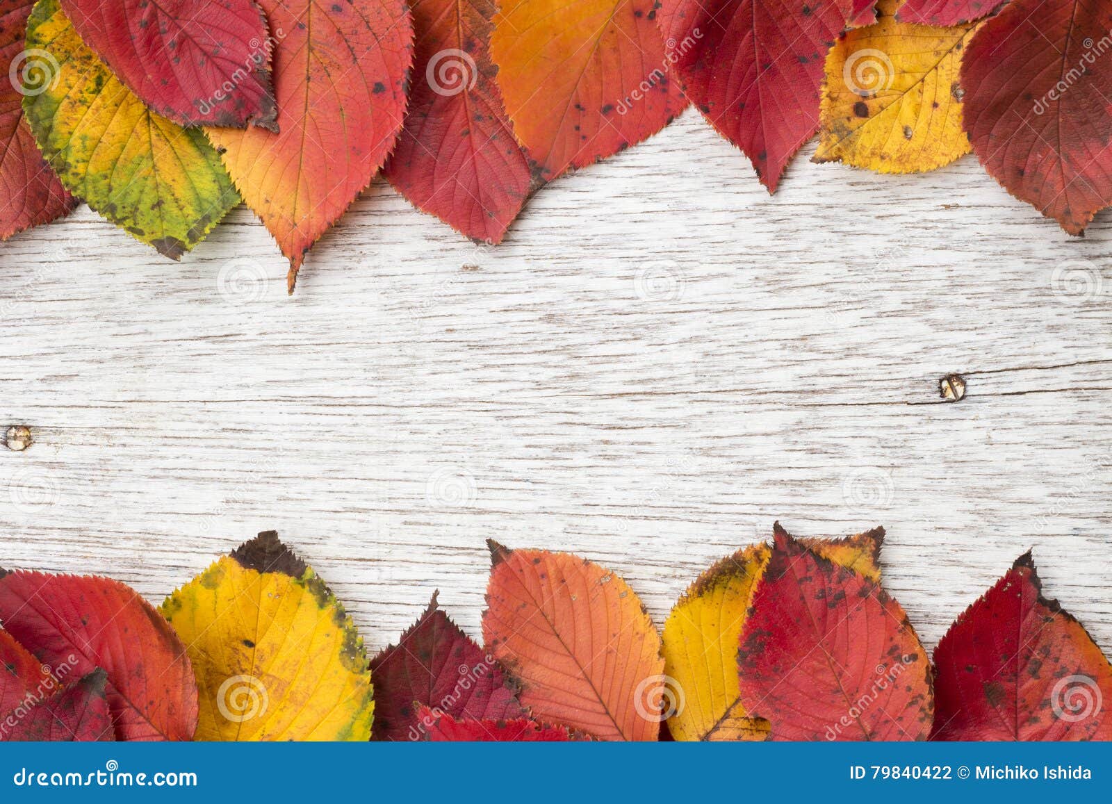 Frame Made of Red Fall Leaves on a Wooden Board Stock Photo - Image of ...