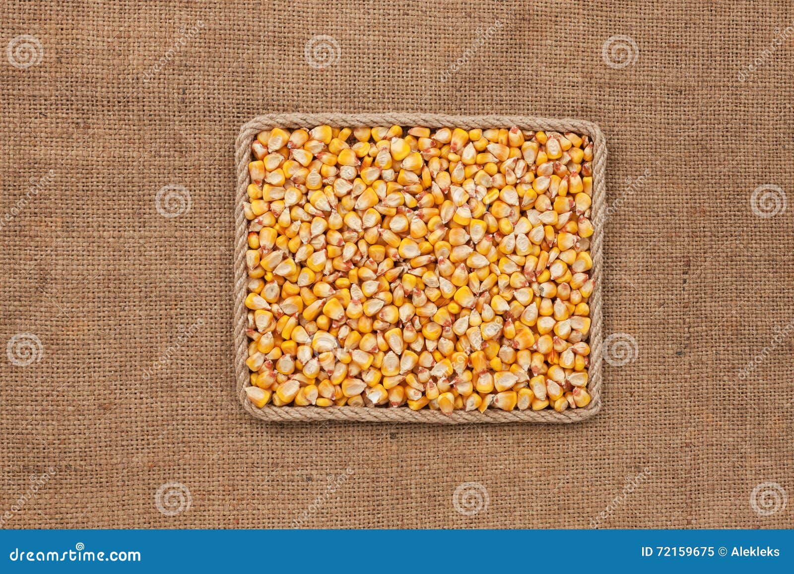 Frame Made of Rope with Corn Grains on Sackcloth, View from Above Stock ...