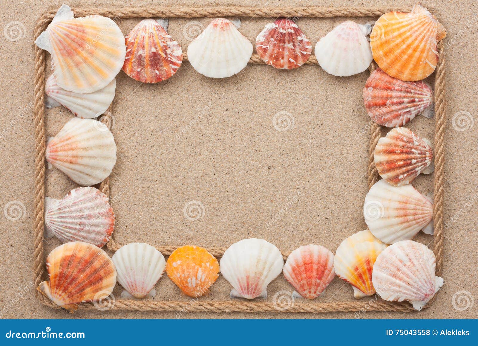 Frame Made of Rope with Seashells on the Sand Stock Photo - Image of ...