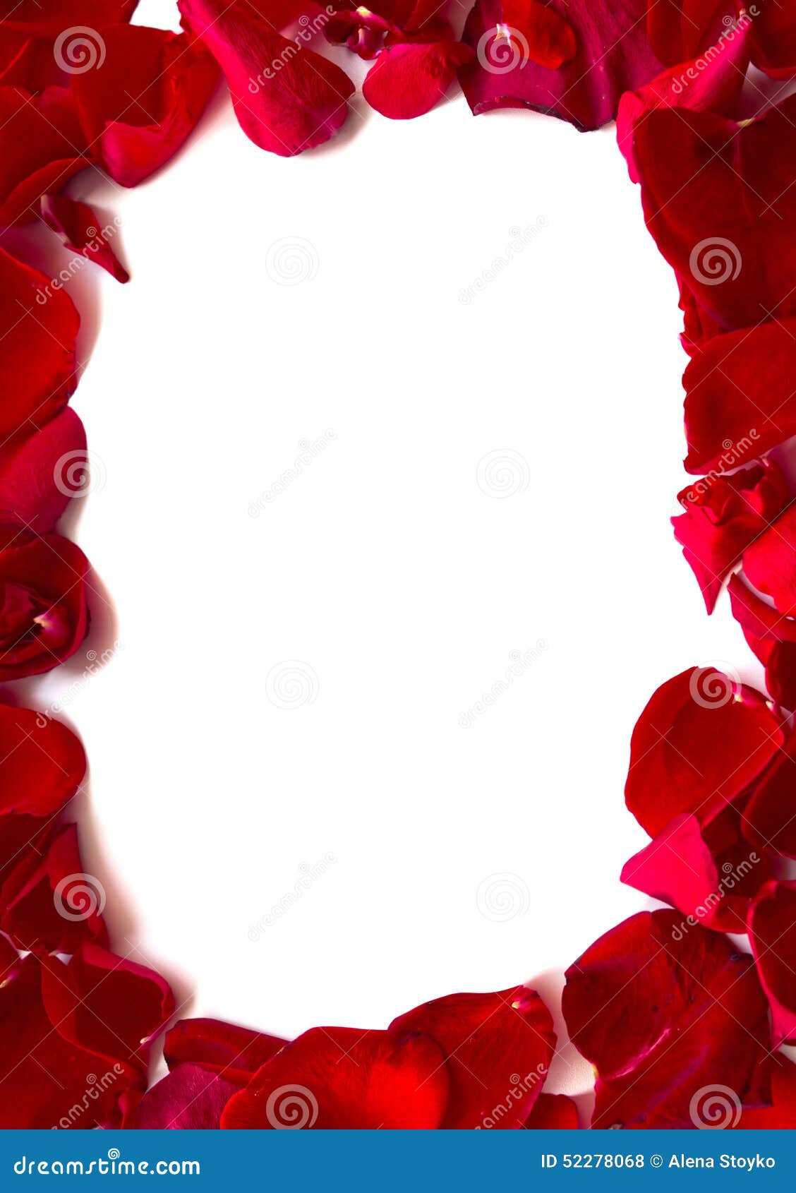 Frame made of Rose Petals stock photo. Image of flower - 52278068