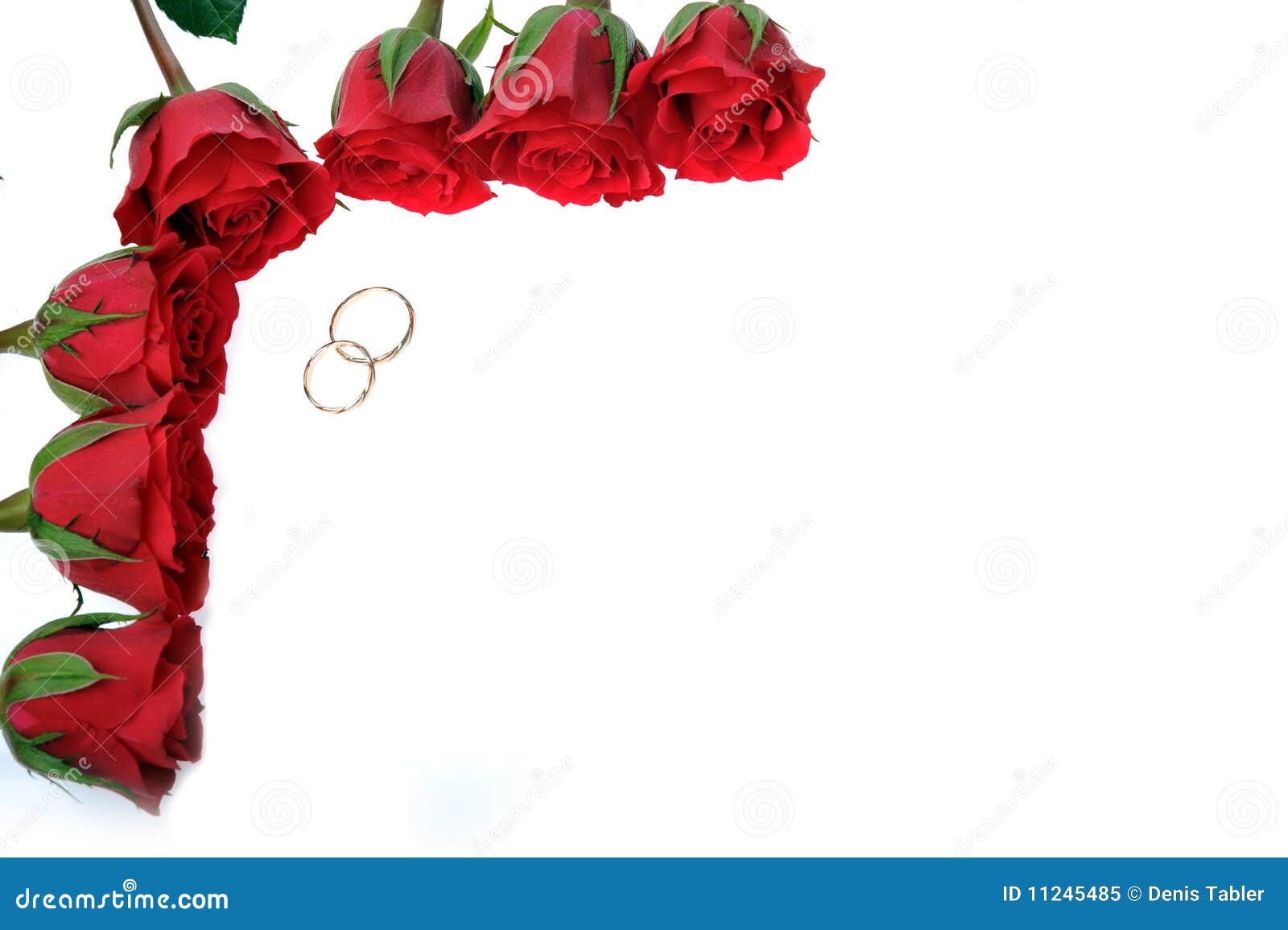 Frame Made from Roses and Rings Stock Image - Image of large, bunch ...