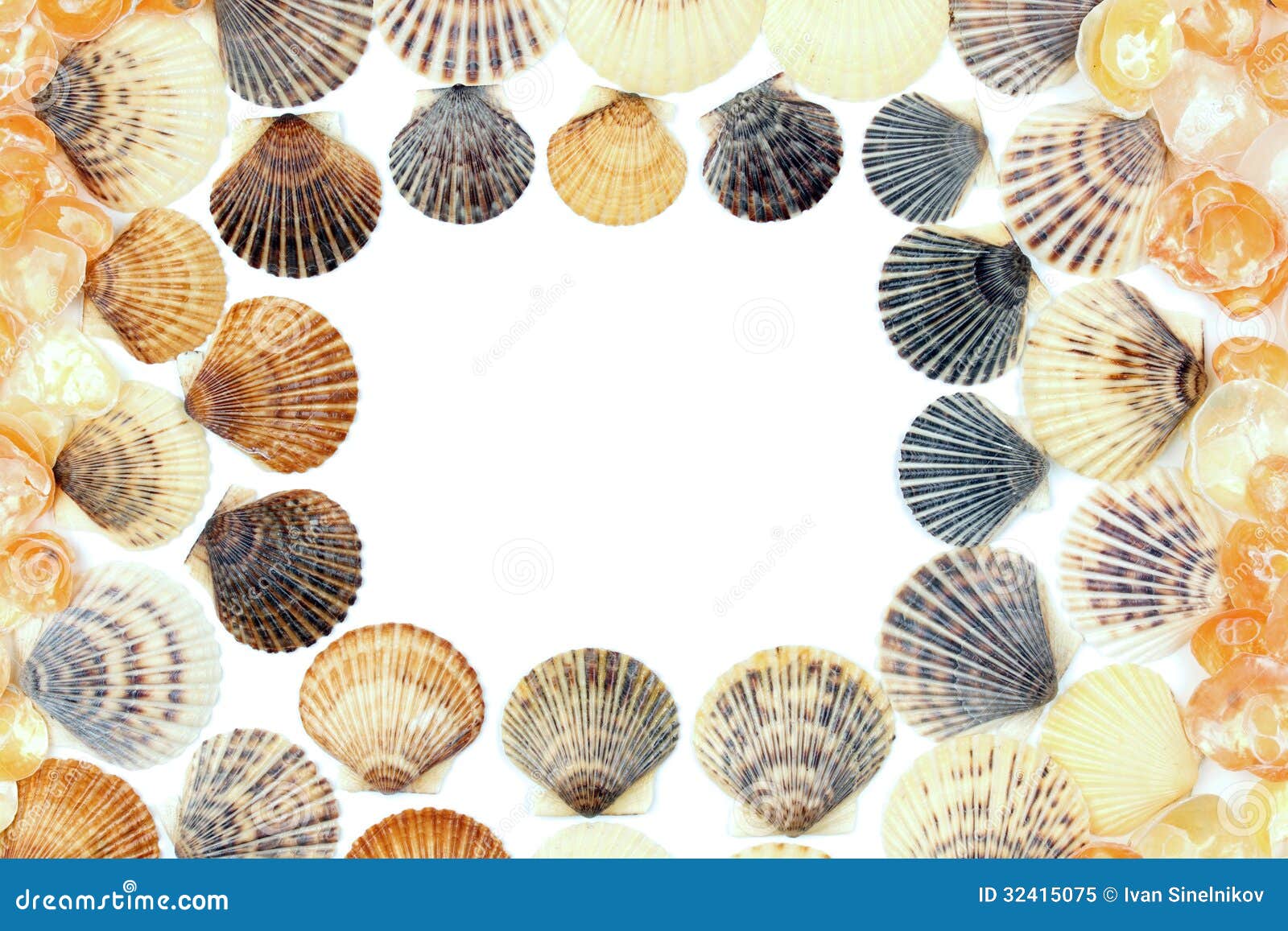 Frame stock image. Image of nature, shell, seashell, ocean - 32415075