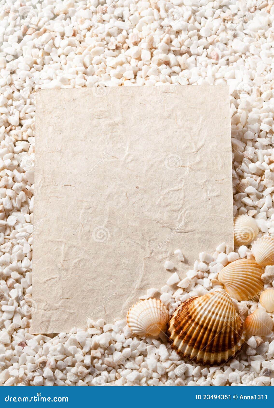 Frame Made from Shell with Card for Text Stock Image - Image of ocean ...