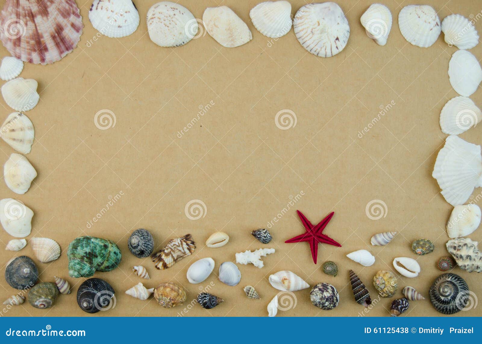 Frame made of shells stock photo. Image of cockleshell - 61125438