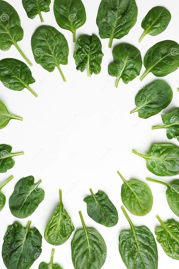 Frame Made of Spinach Leaves on White Background, Top View. Stock Photo ...