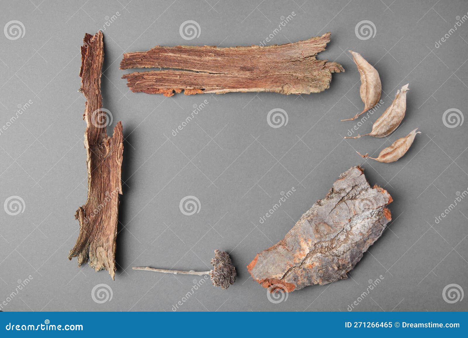 Frame Made of Tree Bark Pieces, Dry Twig and Leaves on Gray Background ...