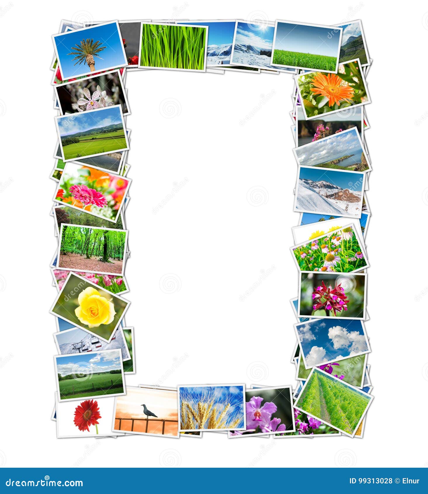 The Frame Made of Various Nature Photos Stock Photo - Image of ...