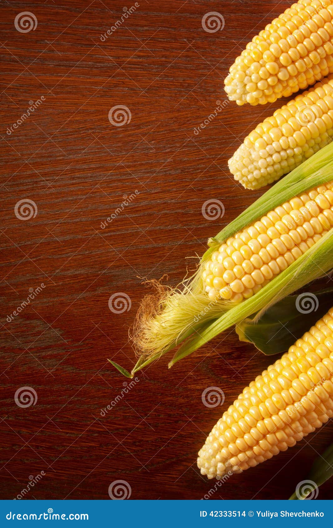 Frame with the maize stock photo. Image of maize, kernels - 42333514