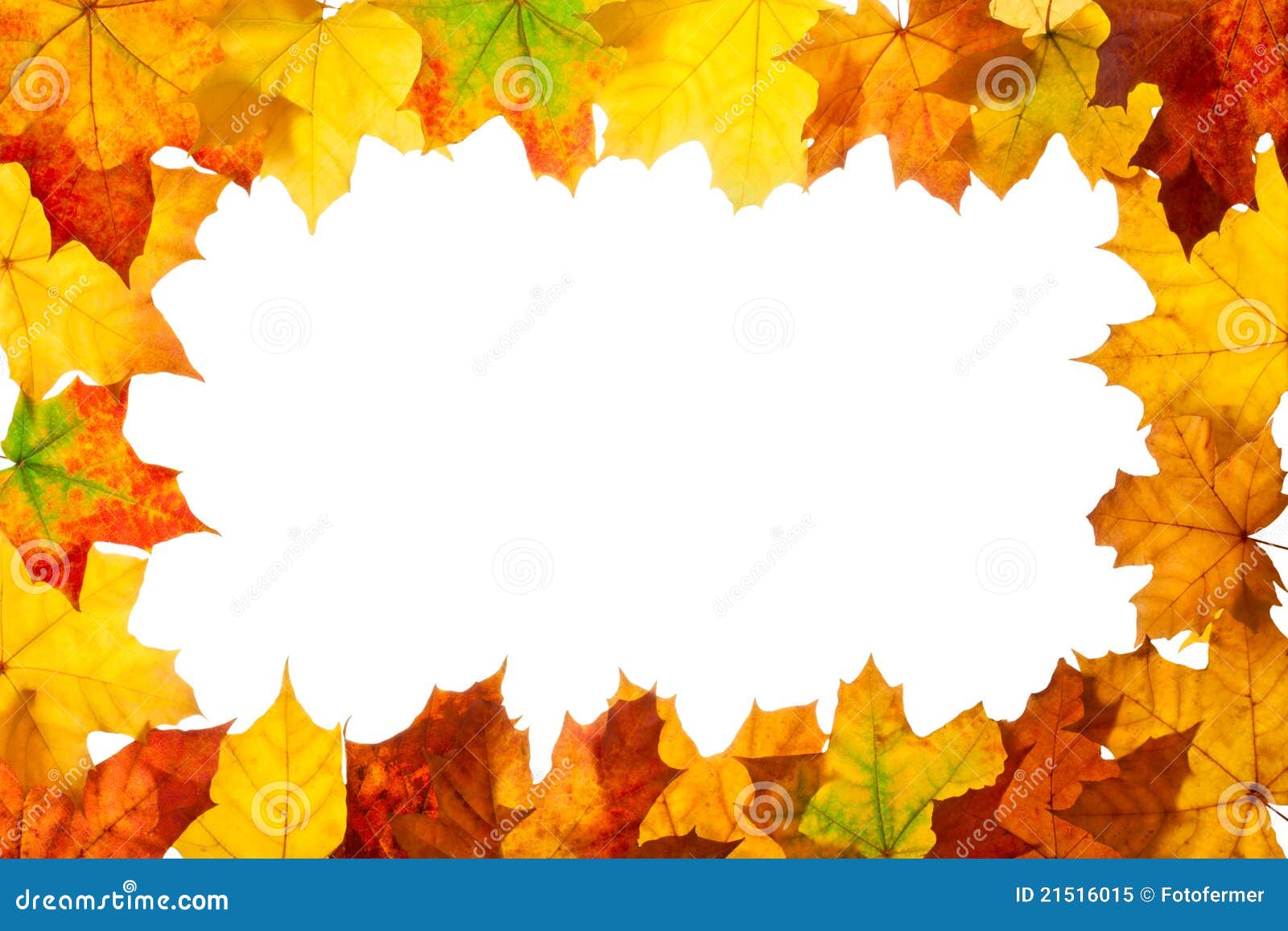 Frame of Maple Autumn Leaves Stock Image - Image of molding, falling ...