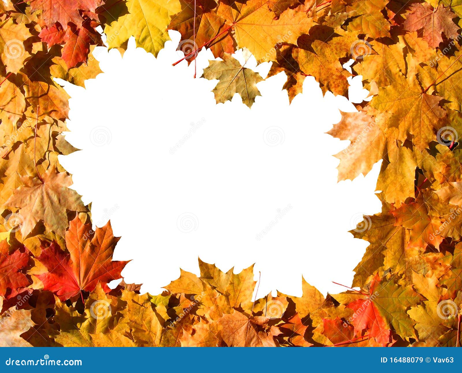 Frame of maple leaves. stock image. Image of frame, abstract - 16488079