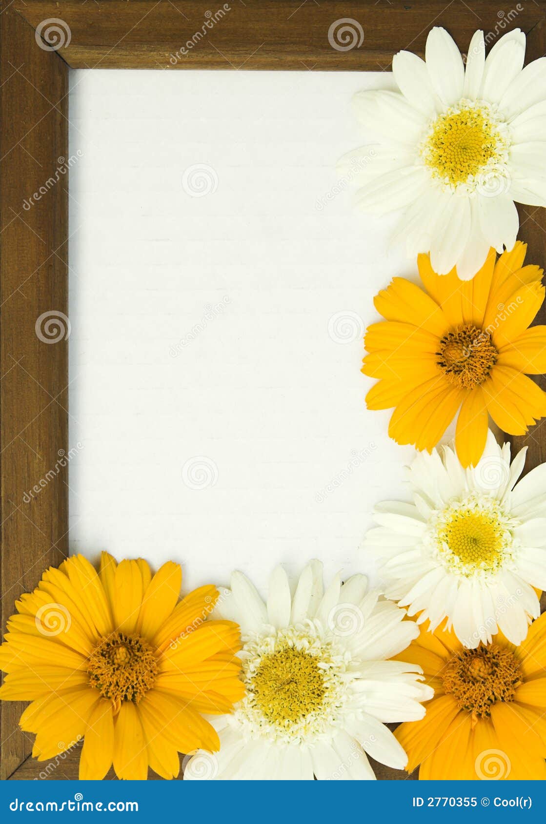 Frame with marguerite stock image. Image of letter, design - 2770355