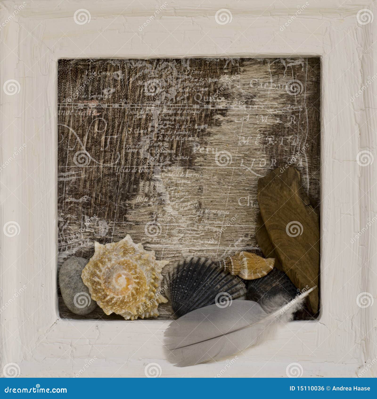 Frame maritime stock photo. Image of nature, feather - 15110036