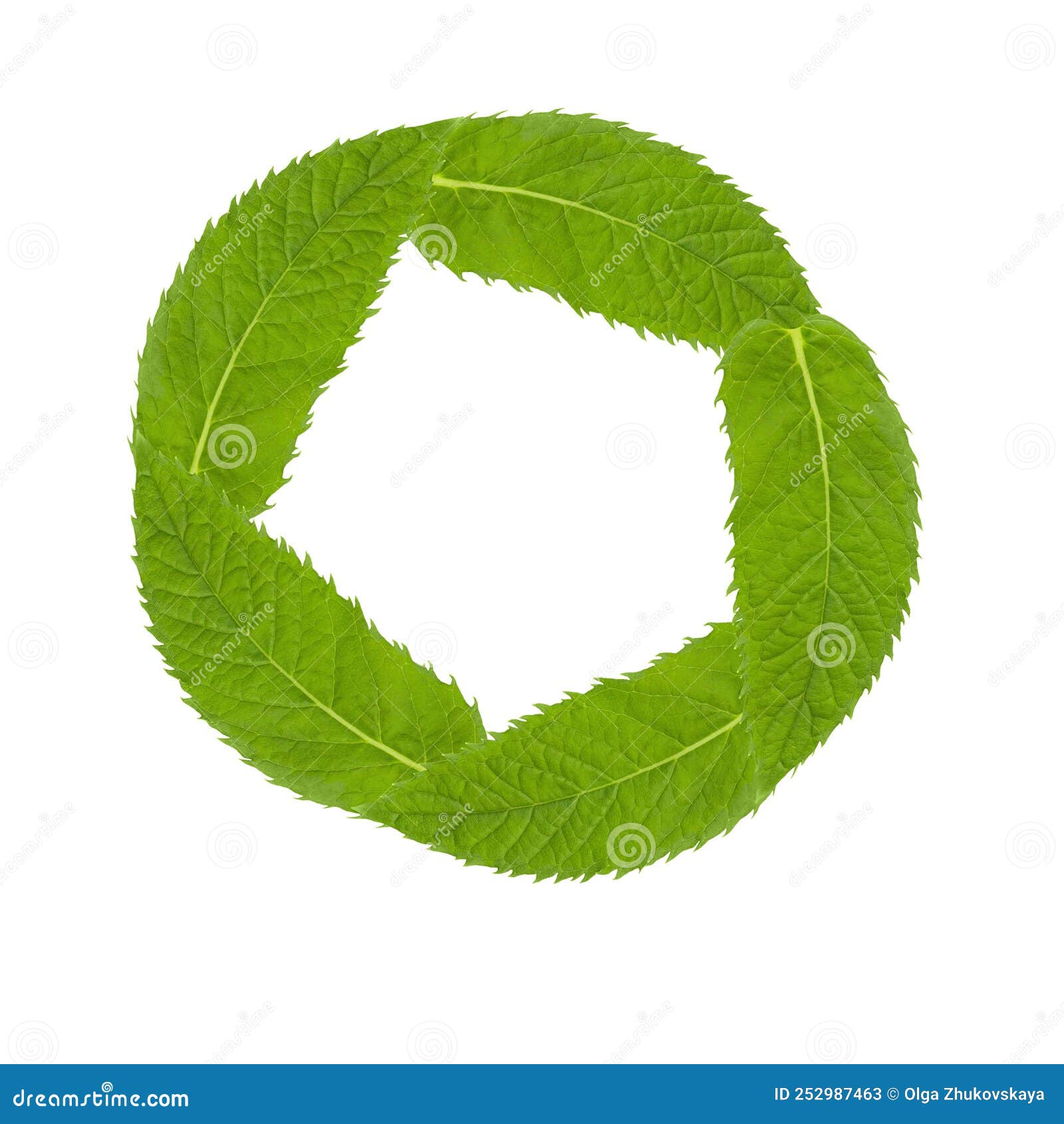 Frame of Mint Leaves on White Isolated Stock Image - Image of closeup ...