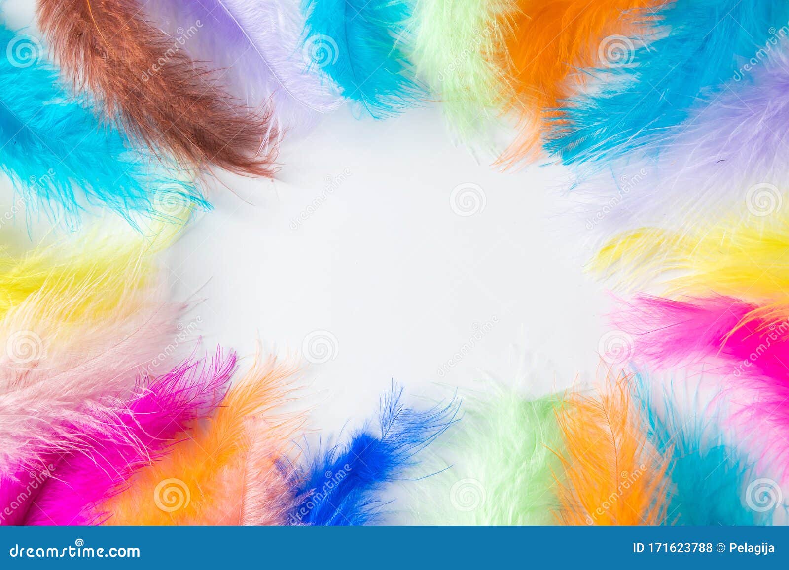 Frame of Multi-colored Light Feathers on a White Background Stock Photo ...