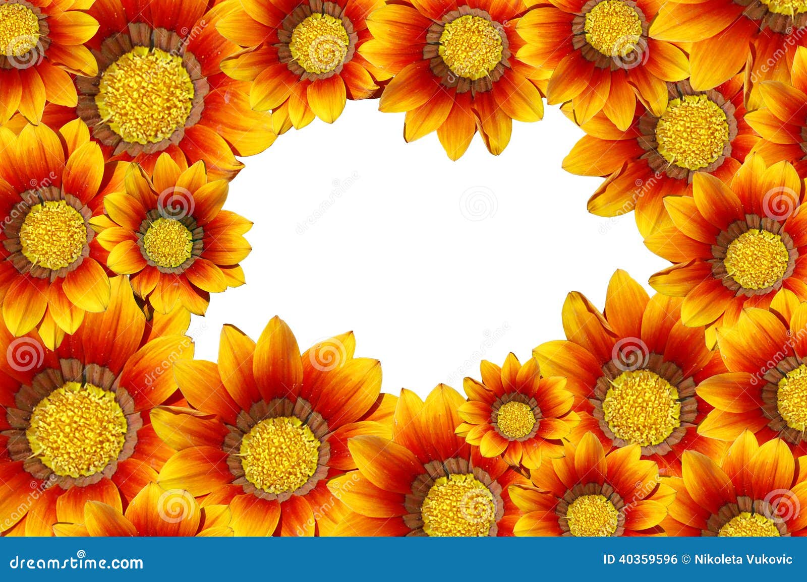 Frame of orange flowers stock photo. Image of flowers - 40359596