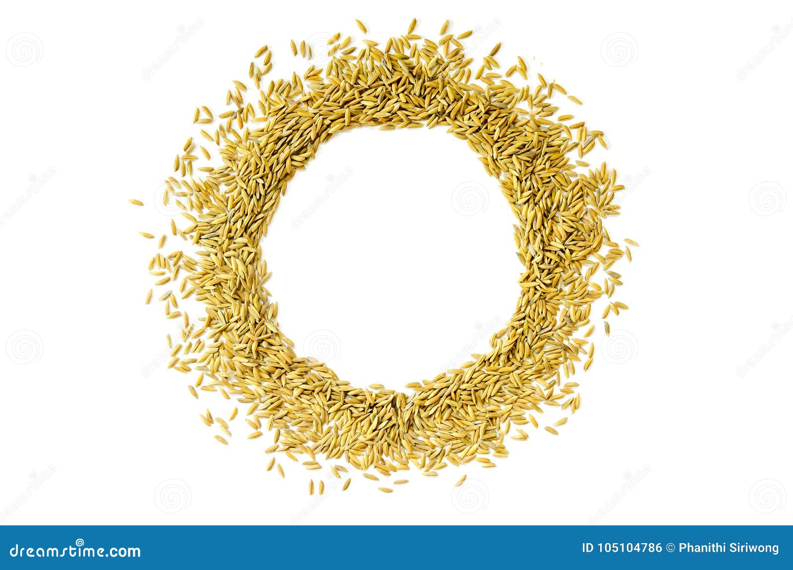 Frame by Paddy Rice and Rice Seed on the White Background for Isolated ...