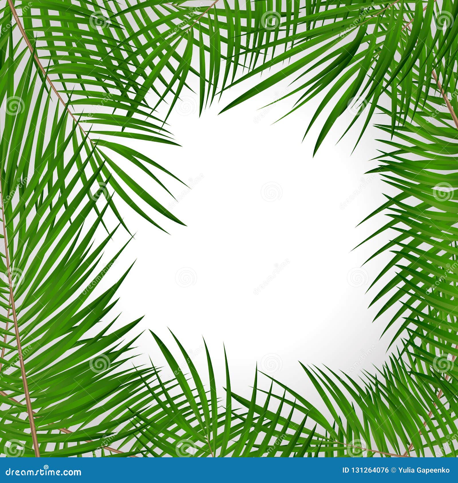 Frame with Palm Leaf Vector Background Isolated Illustration Stock ...