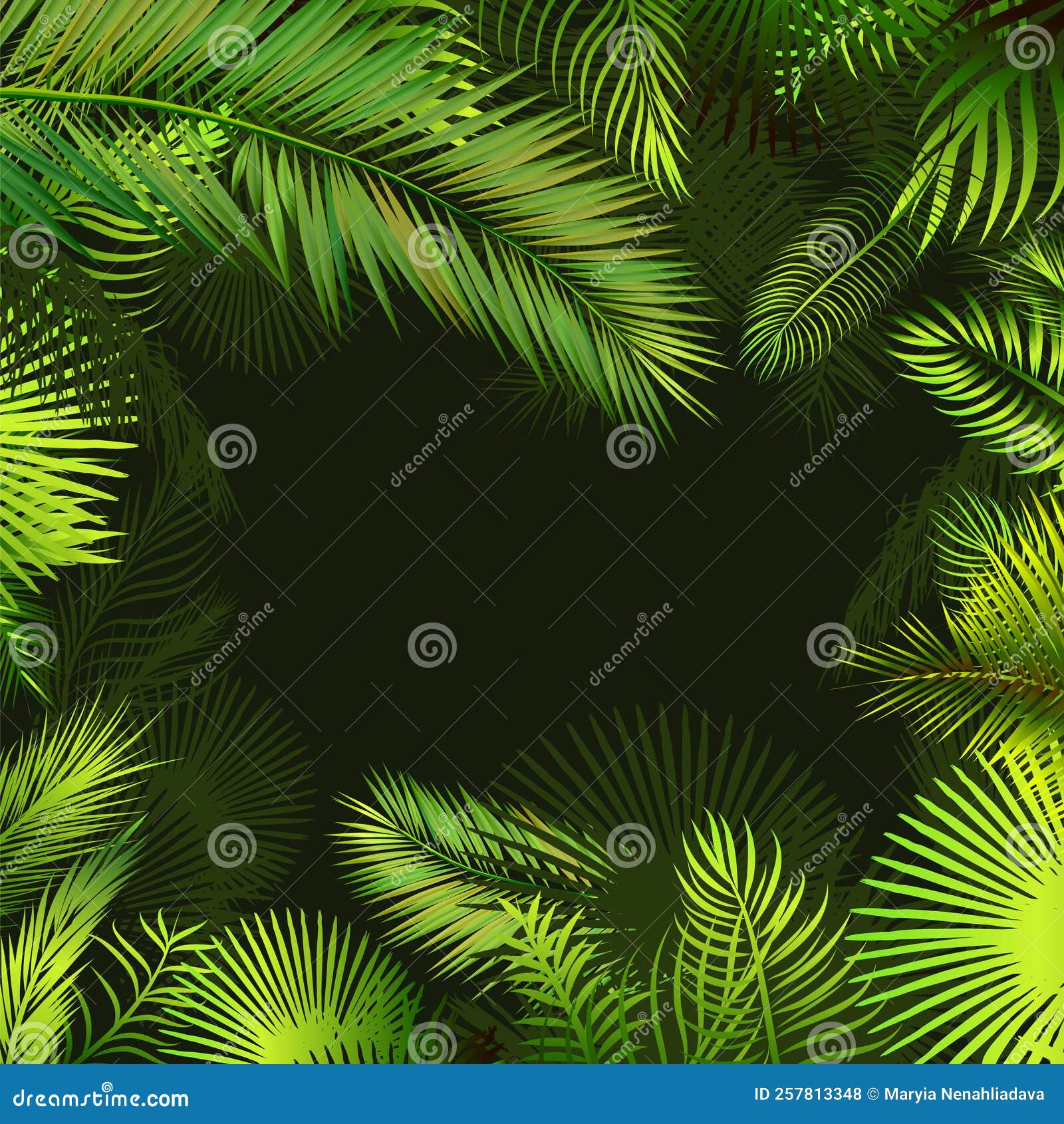 Frame with Palm Leaves. Vector Illustration Stock Photo - Image of ...
