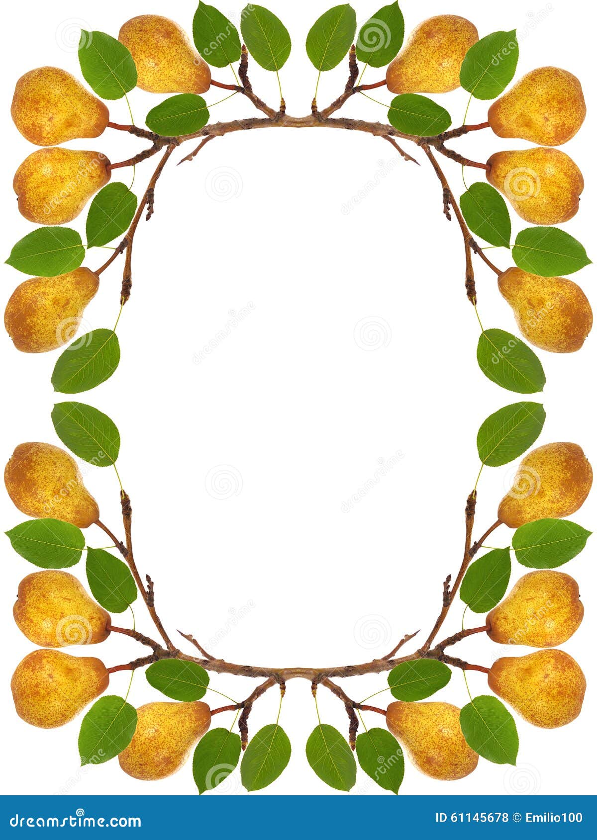 Frame of Pears on Pear Tree Branch Stock Photo - Image of freshness ...
