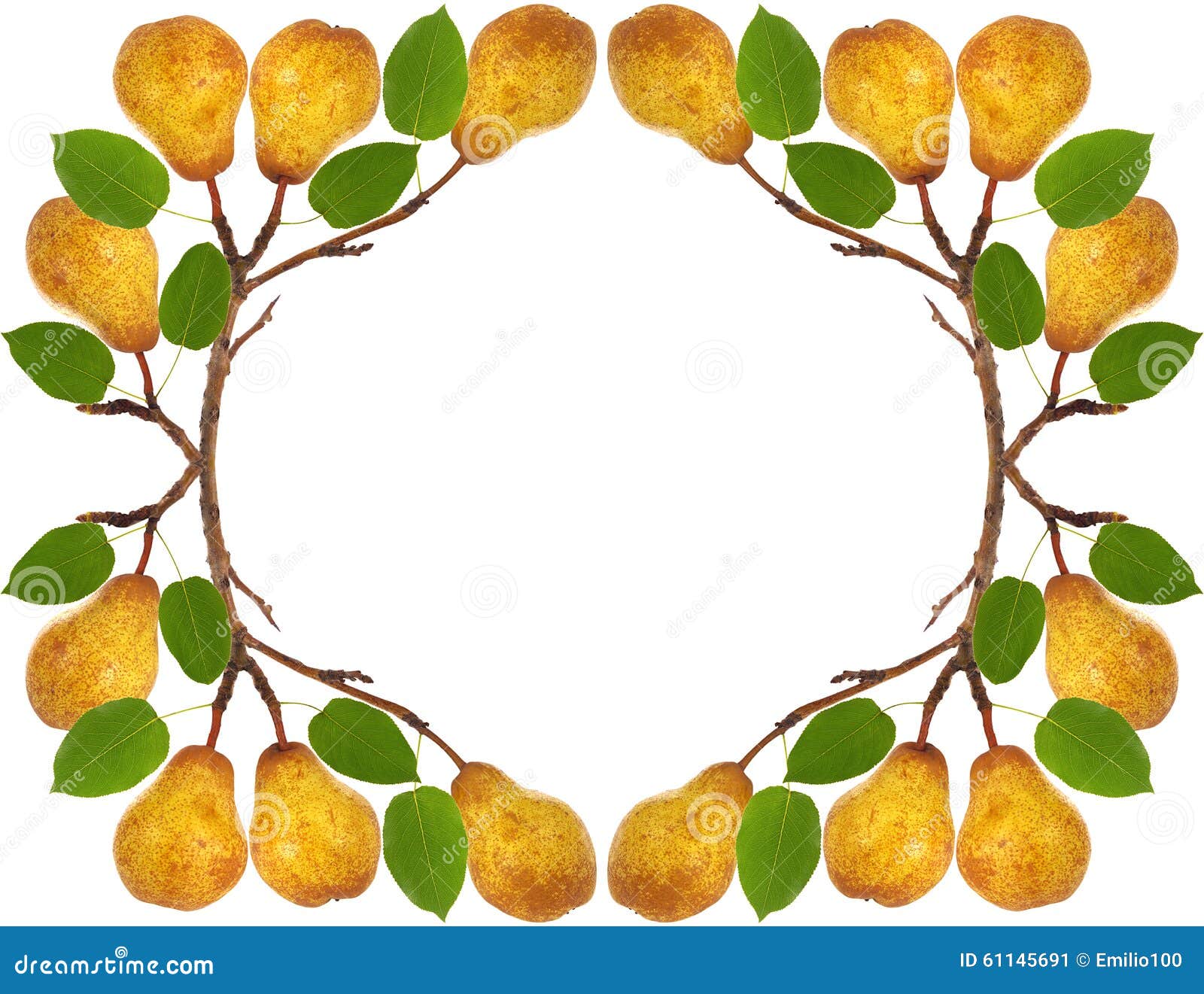 Frame of Pears on Pear Tree Branch Stock Image - Image of blank, leaf ...