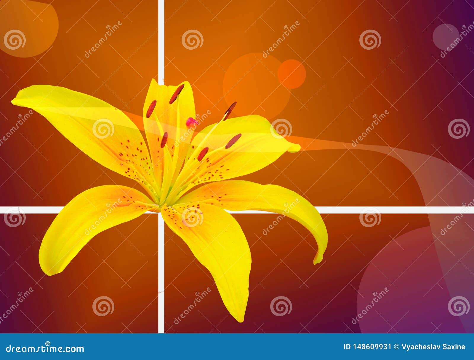 Lily design stock illustration. Illustration of beautiful - 148609931