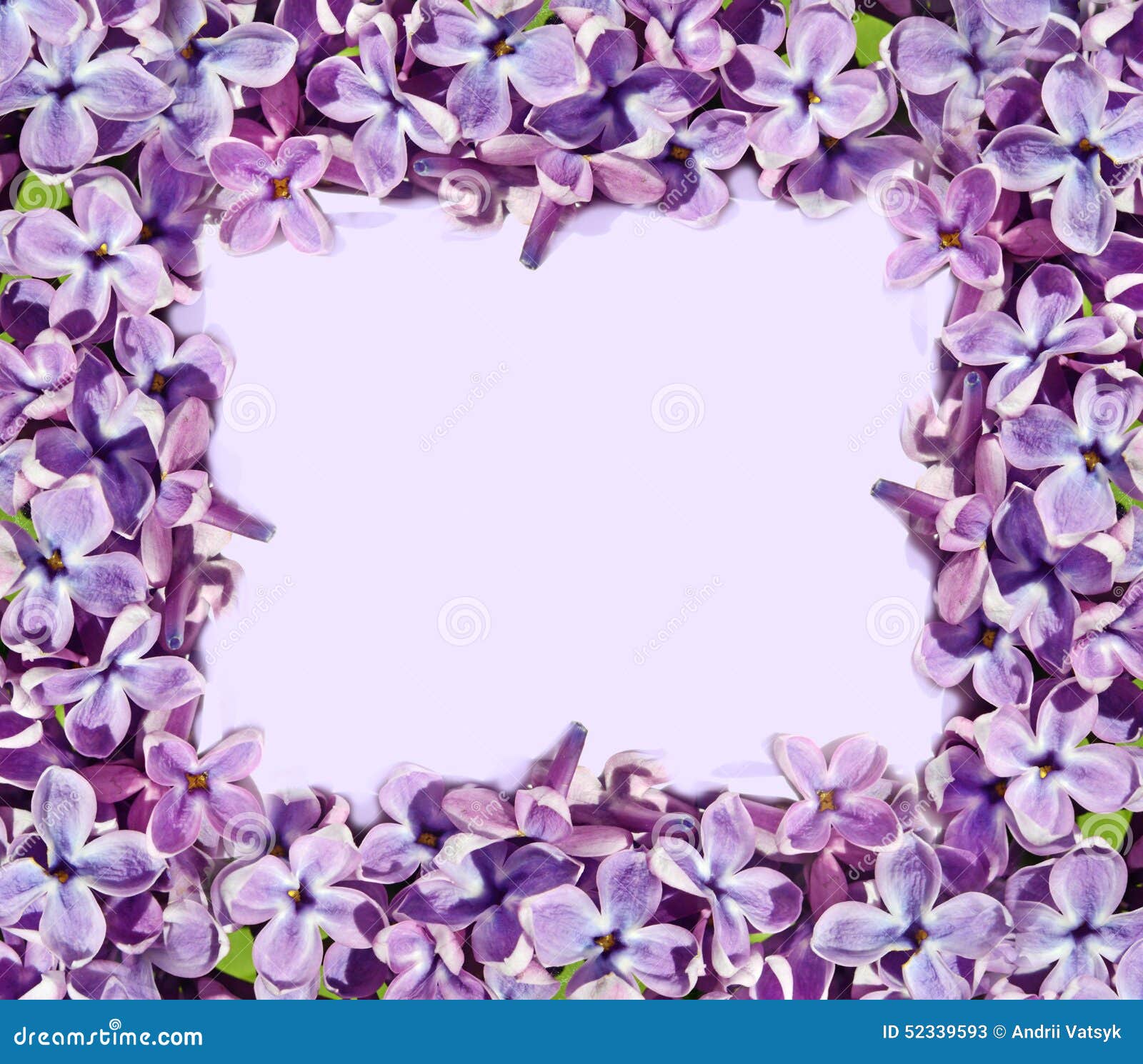 Frame for Pictures with Lilac Flowers Stock Image - Image of greeting ...