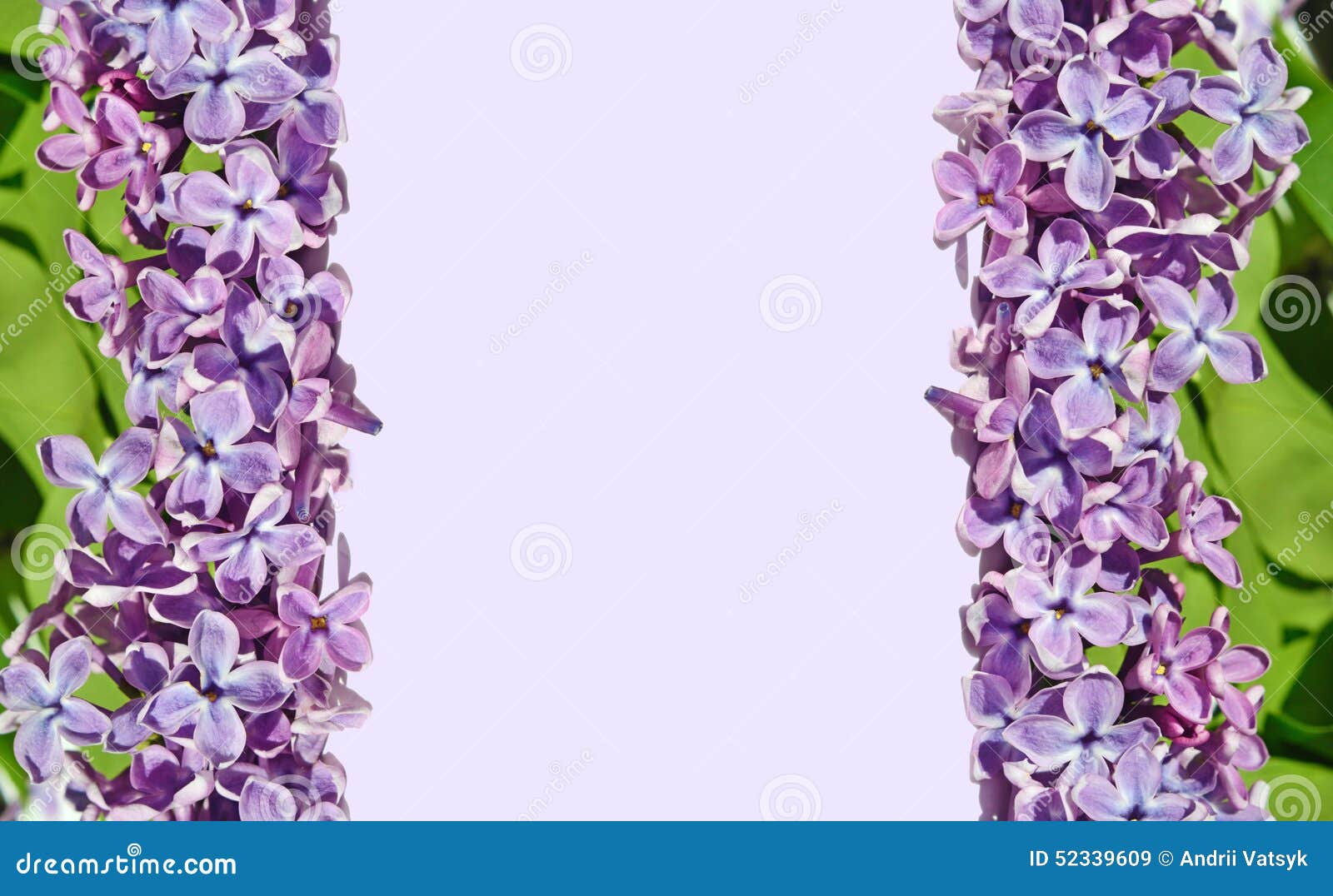 Frame for Pictures with Lilac Flowers Stock Image - Image of bloom ...