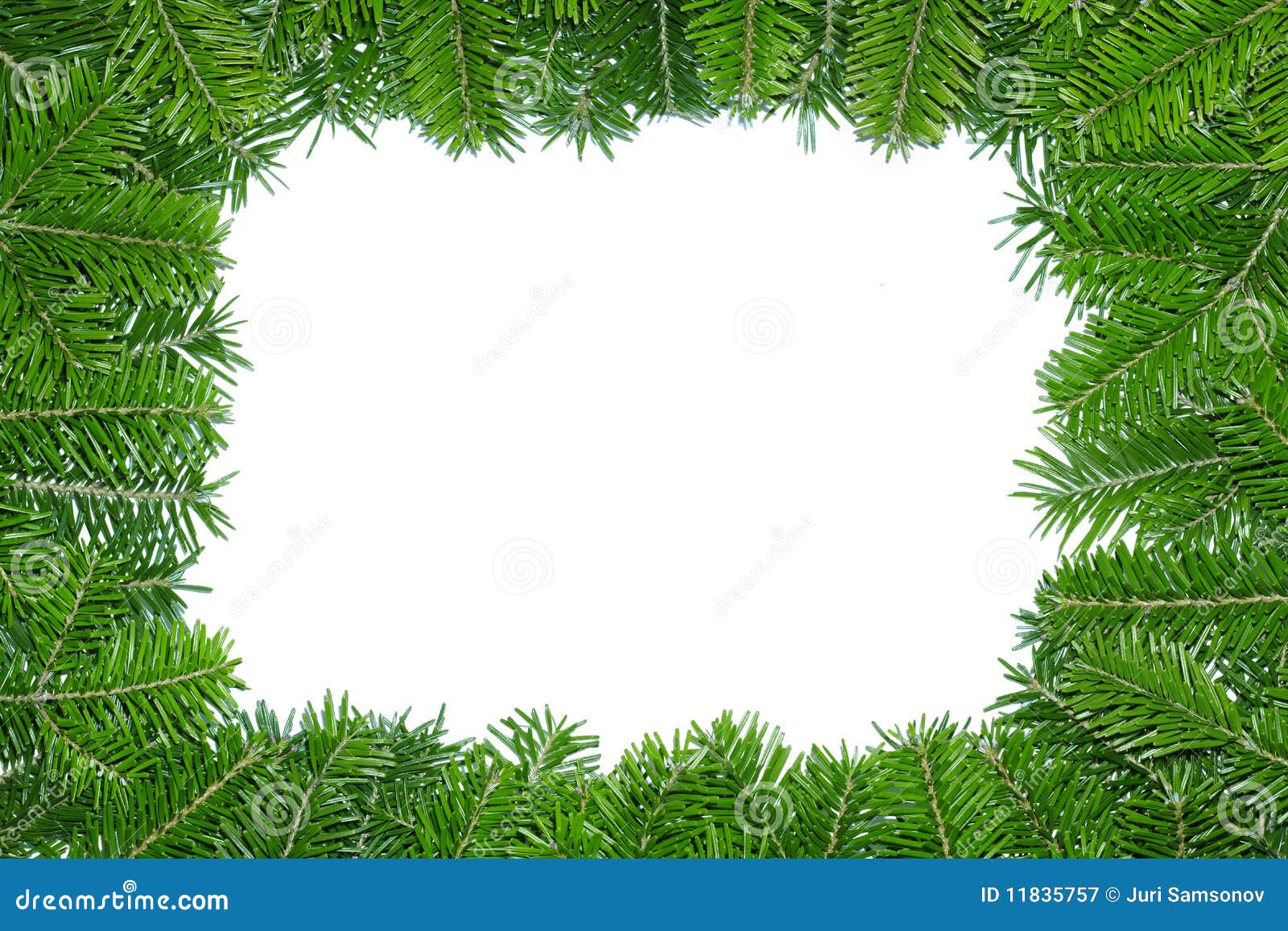 Frame of pine boughs. stock image. Image of celebration - 11835757
